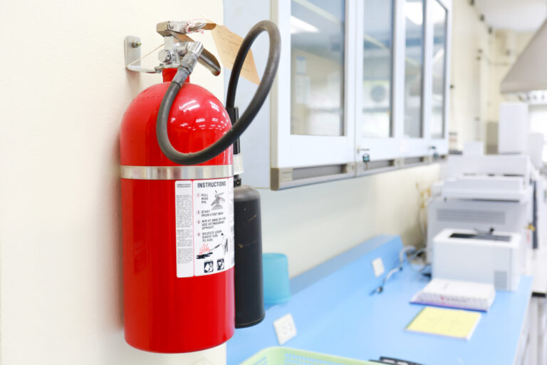 Designing an Engaging and Functional School Lab